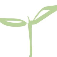 Blog – MAD Sprout Media